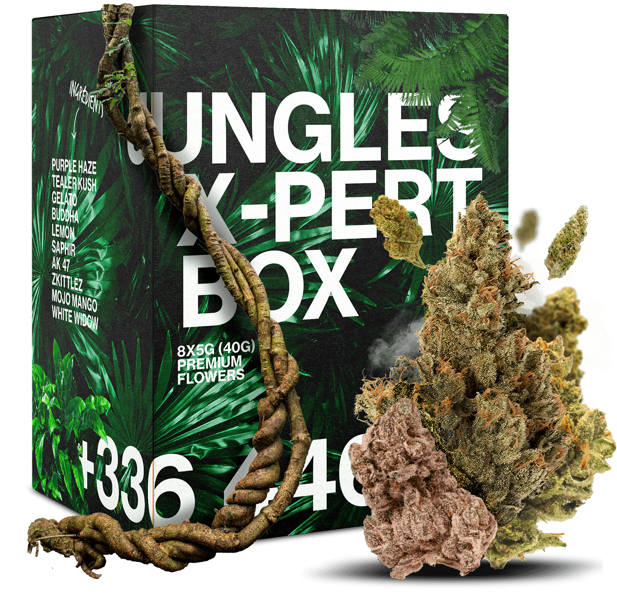 BOX DECOUVERTE 30G CBD 🌿 – TEALERLAB